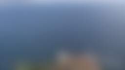 Catalina Island Bald Eagle Cam - Two Harbors camera | Explore.org